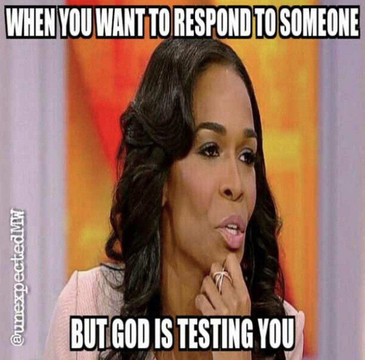 Memes – Unexpected Michelle